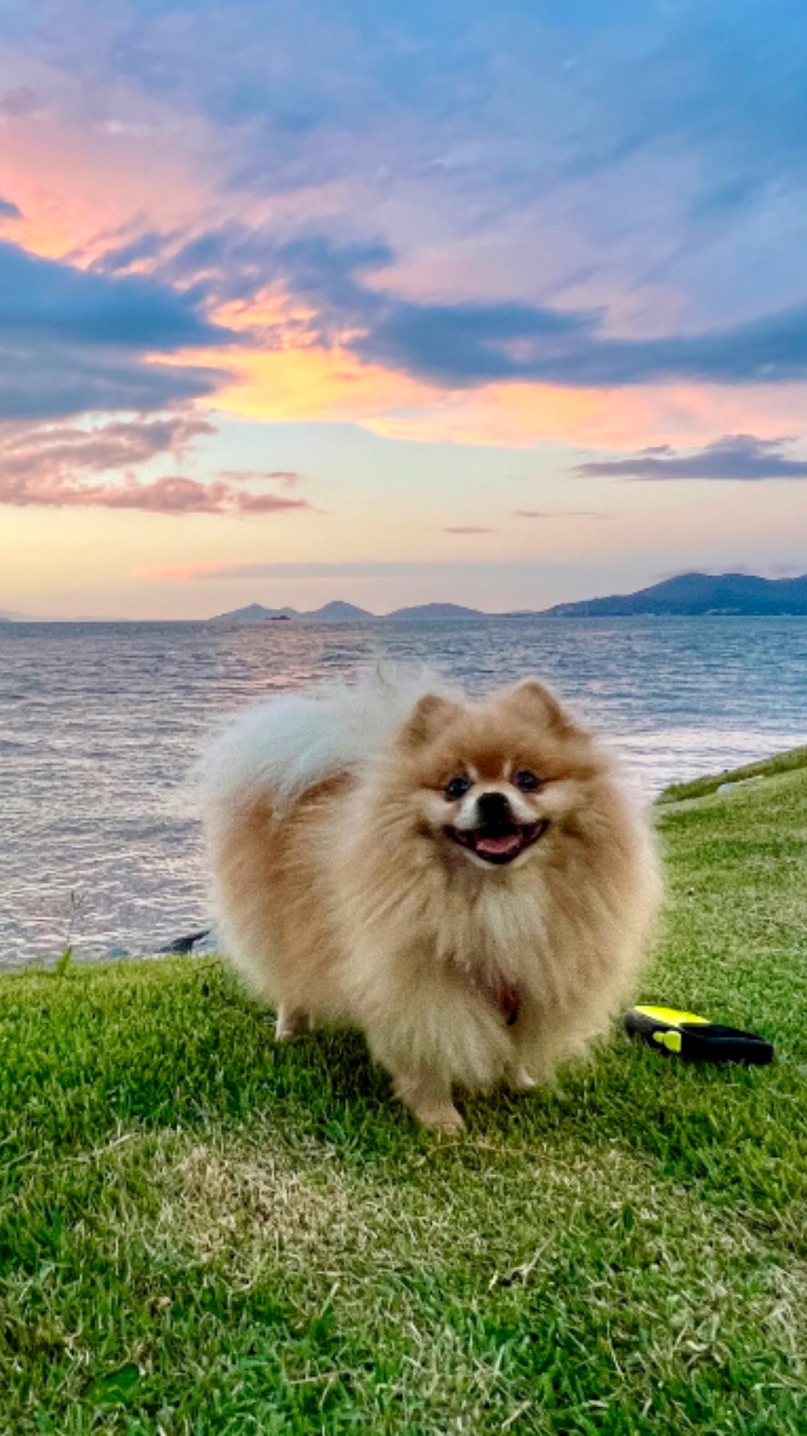 Бася стала смело гулять по вечерам!