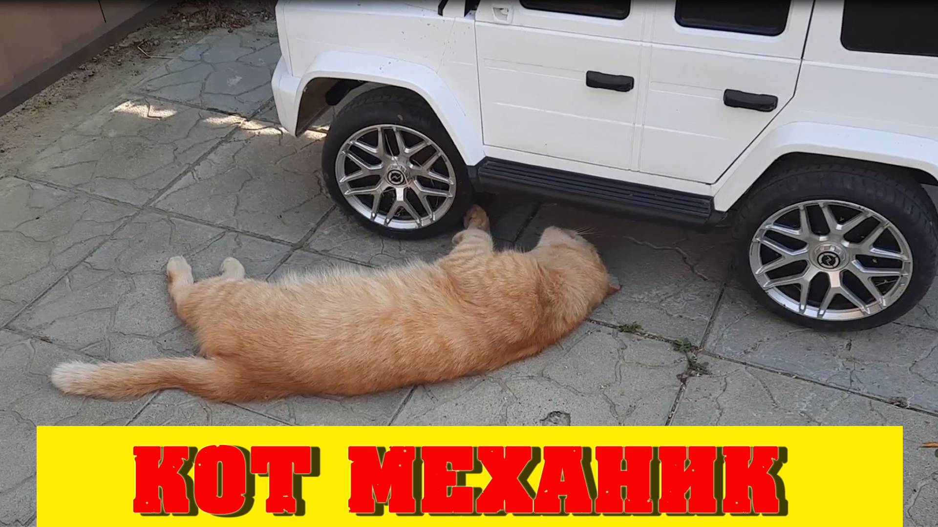 Исследуем Ладожскую. Сериал «Море 24», 8-я серия.