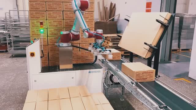 Обучение на предприятии после интеграции паллетайзера