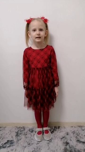 Конкурс чтецов. Участник 29.