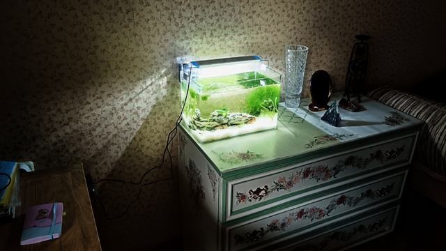 Мини-аквариум Премиум для Марии