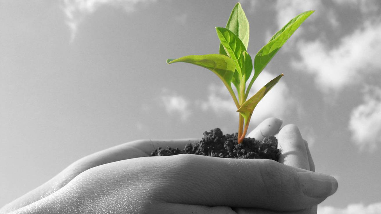 Конкурс Путёвка в жизнь, инфо ролик, 2022