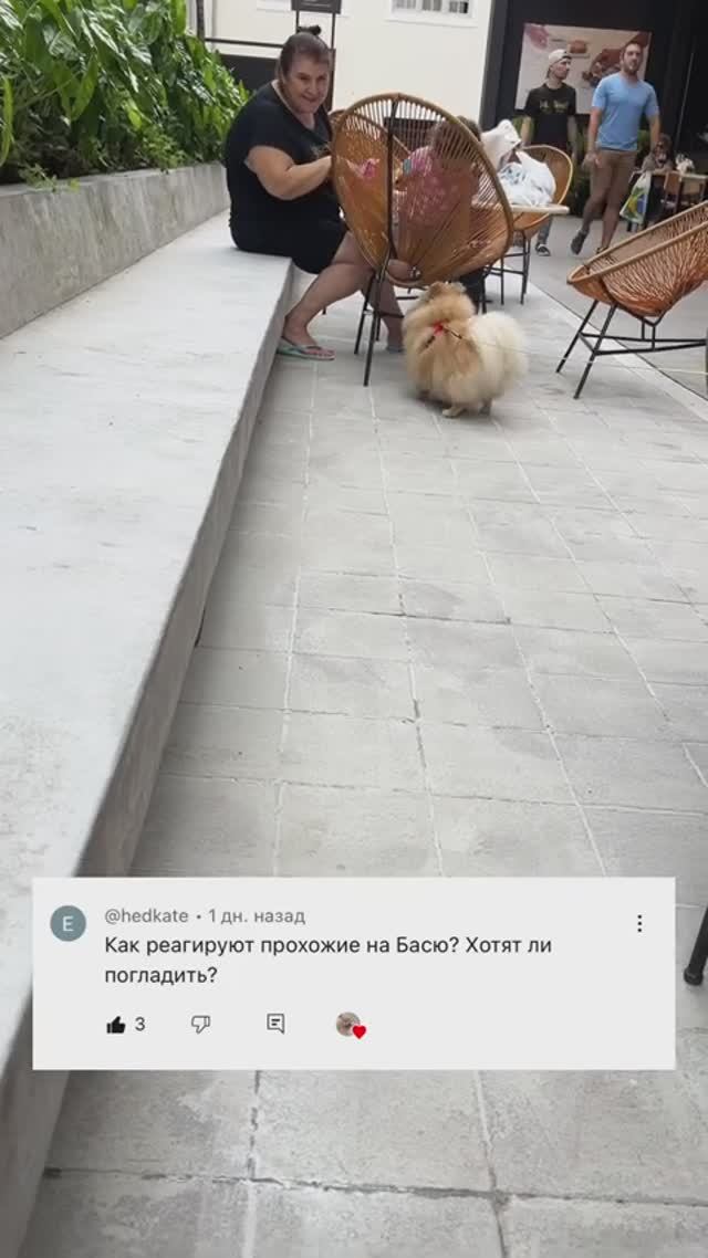 Как реагируют прохожие на Басю?