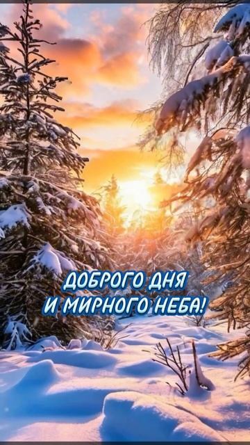 ДОБРОГО ДНЯ И МИРНОГО НЕБА!