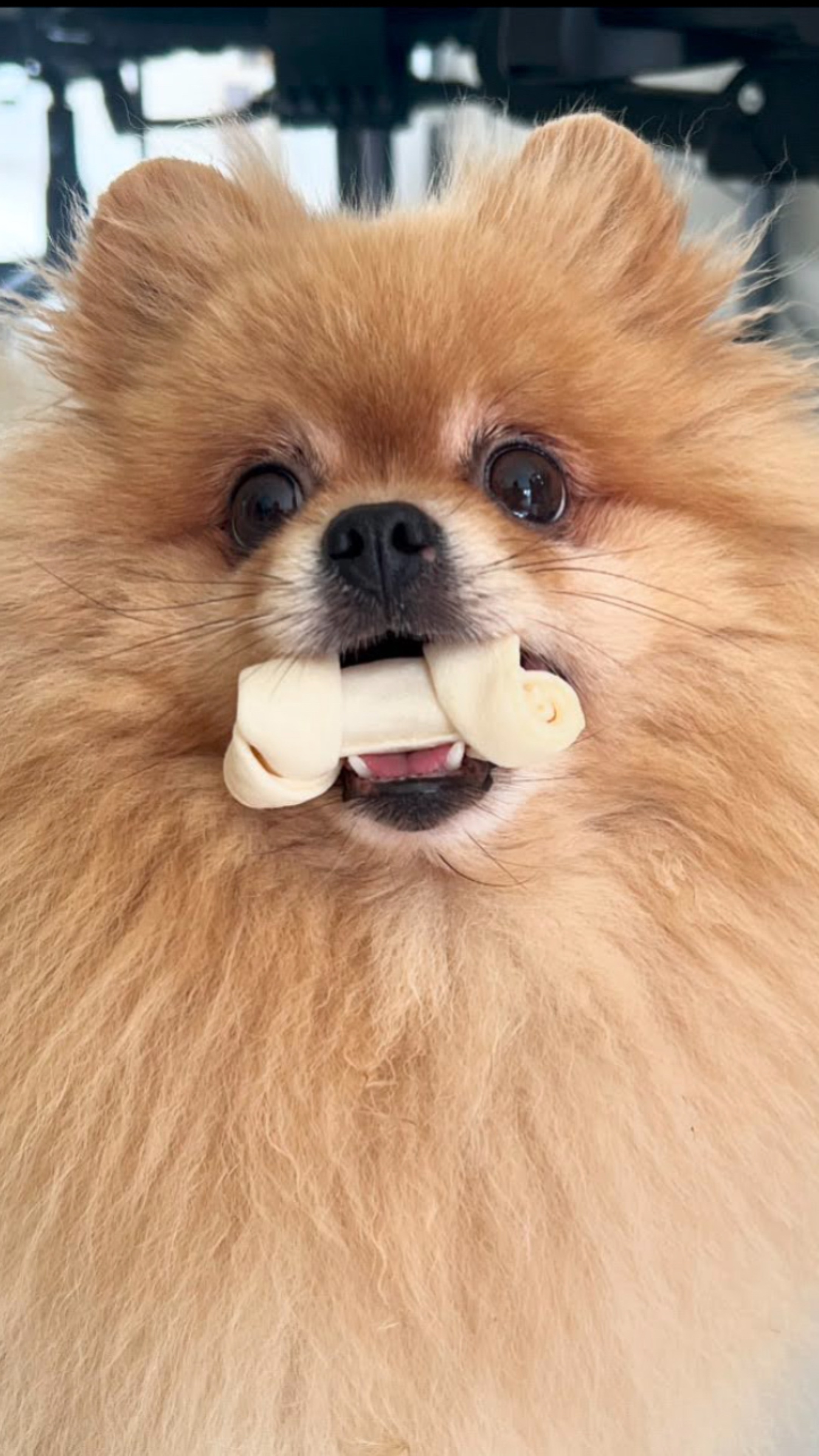 У Баси доброе субботнее утро!