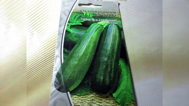 Раннеспелые, урожайные, холодостойкие  кабачки- цуккини Зебра, АЭРОНАВТ.