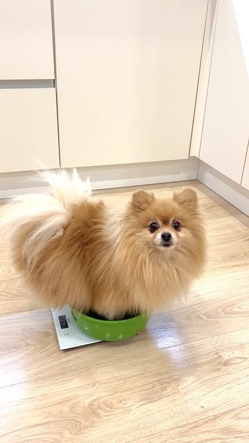 Сколько весит сдобная Булочка?