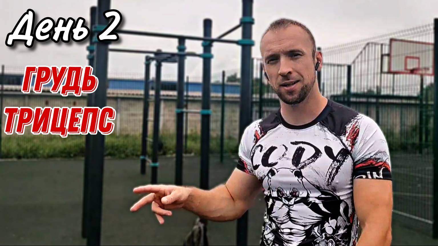 Тренировка ГРУДИ и ТРИЦЕПСА. Программа ТРЕНИРОВОК. День 2