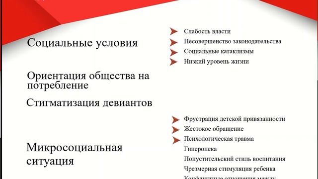 24. Видео лекция Делинквентное поведение личности