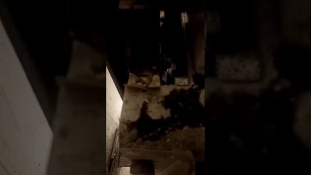 Клинья Ловителей теперь Возвращаются Могилев