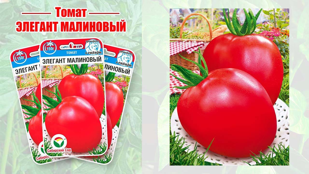 Томат "Элегант малиновый" от Агрофирмы "Сибирский сад"