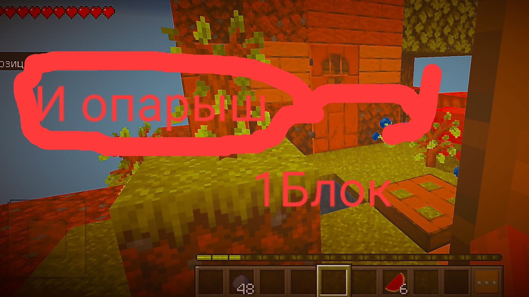 Всё о квадратных коровках и не только в Майнкрафте