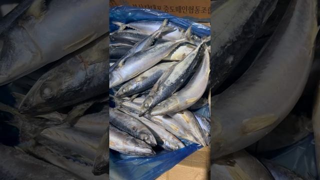 Скумбрия обзор 2