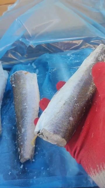 Хек тушка обзор