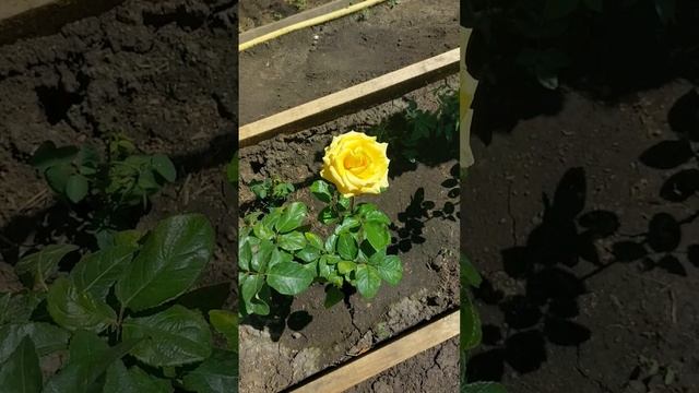 11 июня 2024 После паводка не стоим на месте #урал #орск