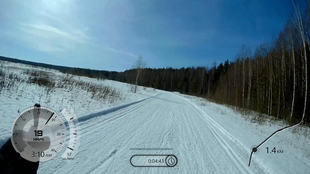 Лыжная прогулка 19.03.2023