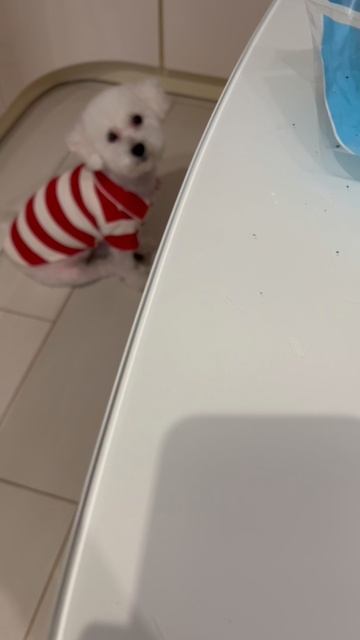 Попрошайка.