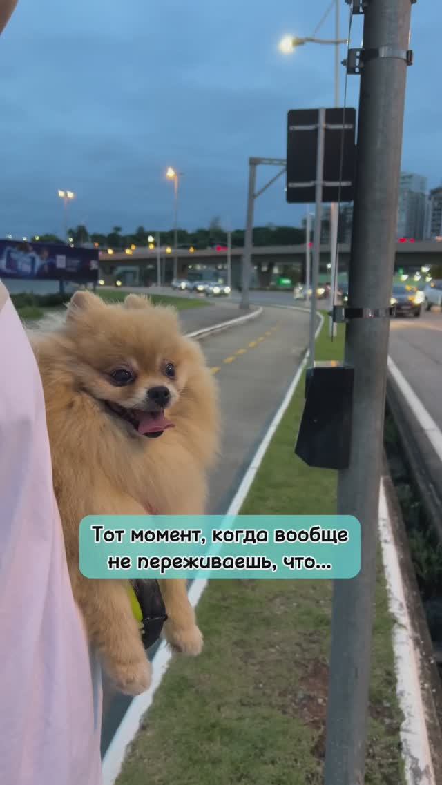 Басенька не переживает о пустяках!