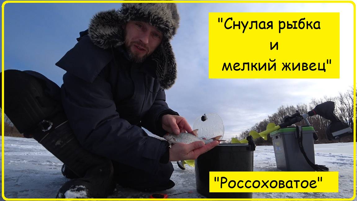 "Снулая рыбка мелкий живец".