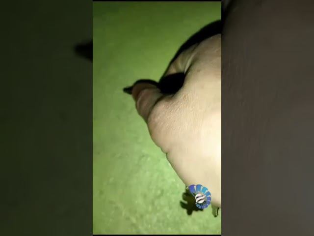 Испытания краски износостойкой Протект Бетон Наутилус