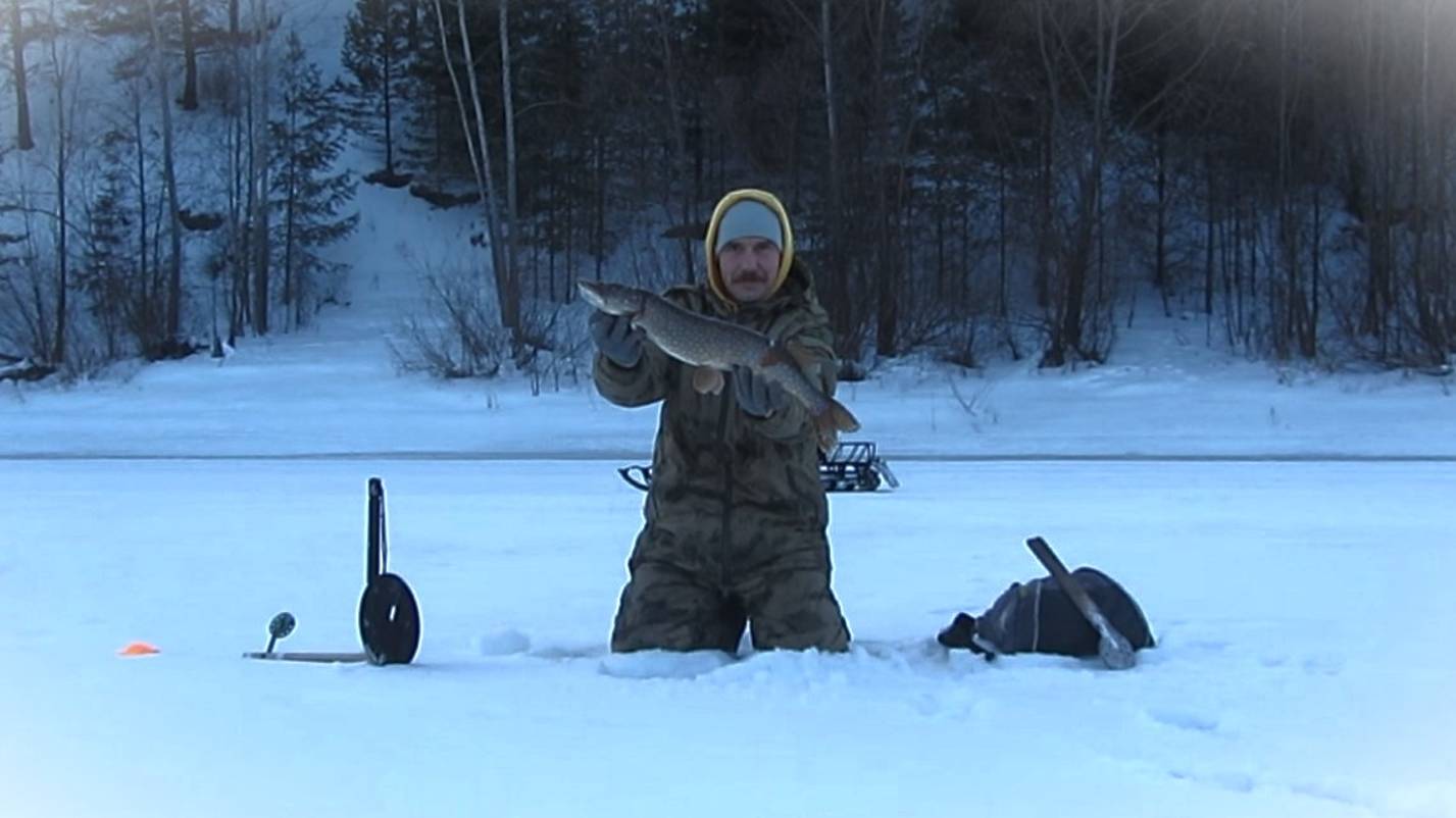 Шикарная, почти трофейная 😎 для наших мест, щучка 🦈