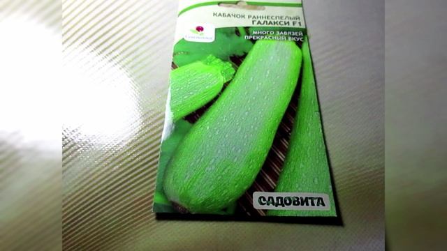 Раннеспелые белоплодные кабачки: кабачок-тыква Тинторетто от "Ганичкиной" , "Якорь" и "Галакси F1".