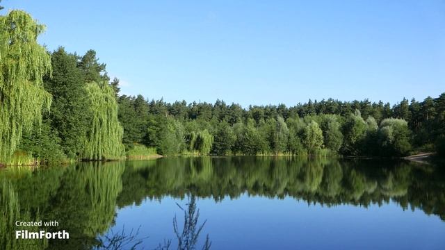 звуки природы