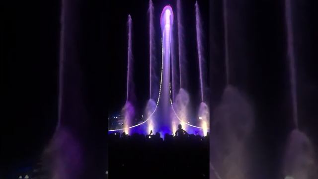 Сочи. Олимпийский парк. Поющие фонтаны. Видео канала Мой Петербург.