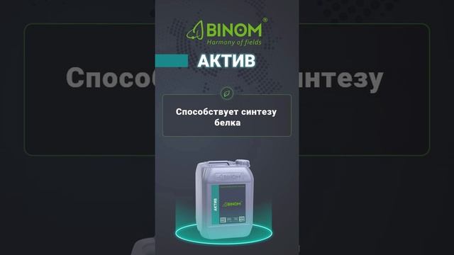BINOM Актив