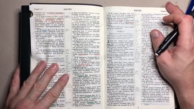 04 | Бытие 3:1-7 | Суть ослушания Адамом и Евой Бога