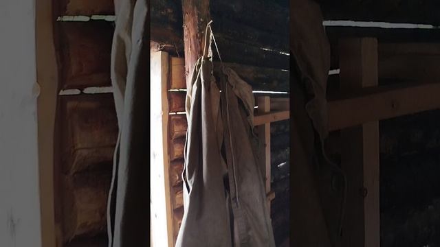 ДЗОТ. В историческом парке Бастион, июль 2024