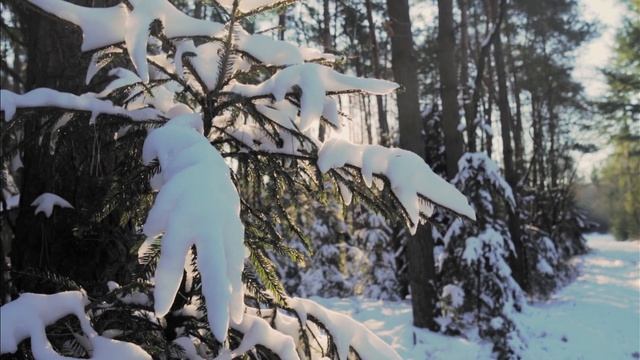 НА ДУШЕ РУБИНЫ... (песня под гитару)