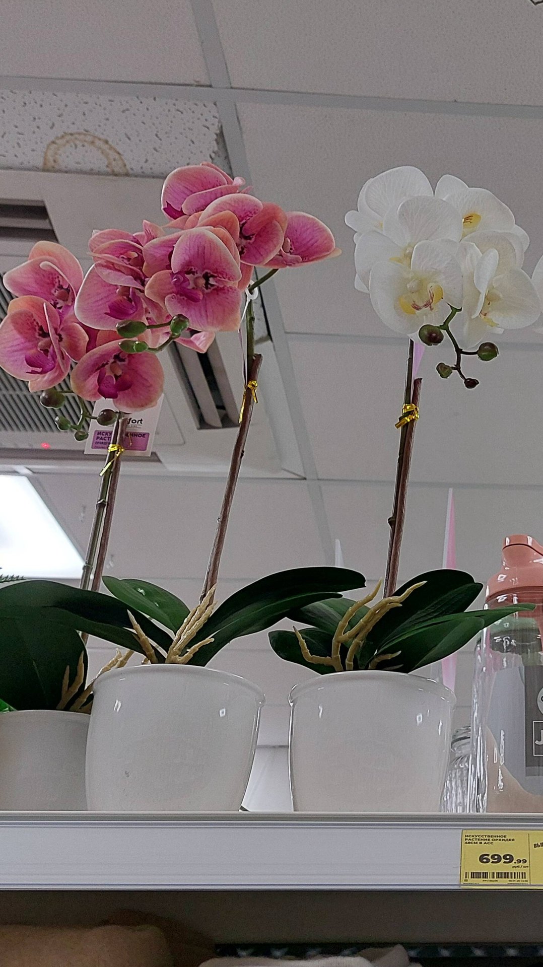 Показываю топ новинки Магнит Косметик коллекция Прованс и не только