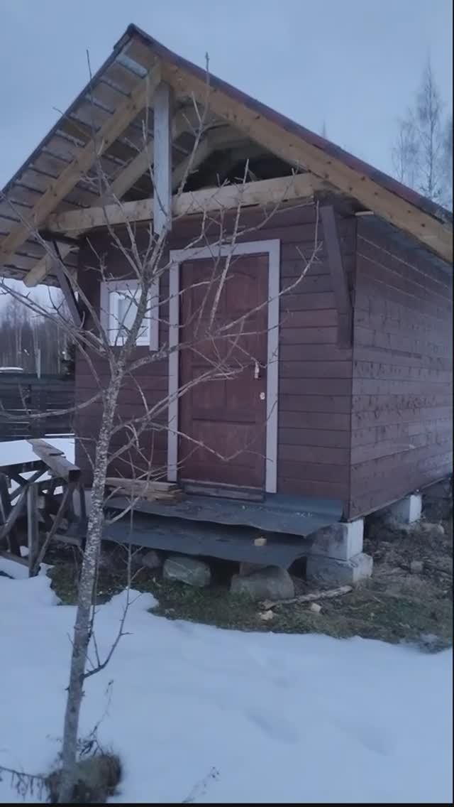 Зимовка пчёл в отапливаемом омшаннике 26 января 2025г Ленинградская область.