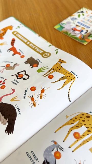 Учимся, играем, удивляемся! 🌟