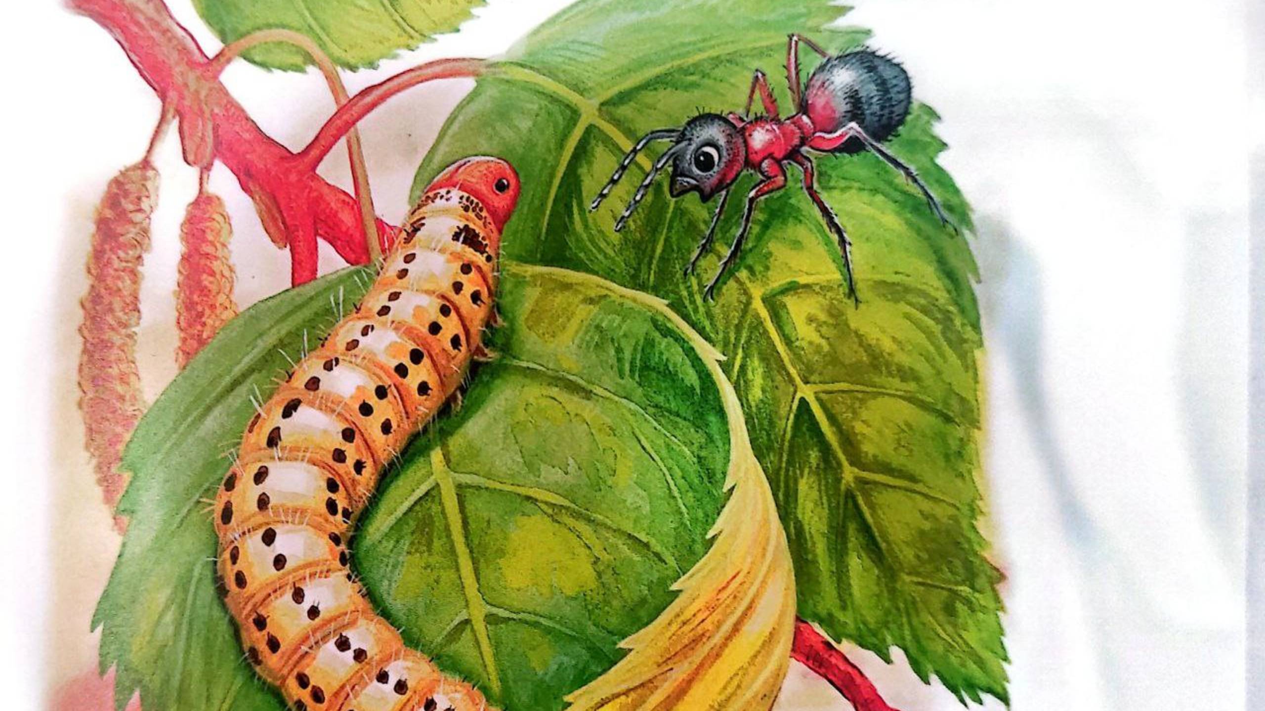 Как муравьишка домой спешил