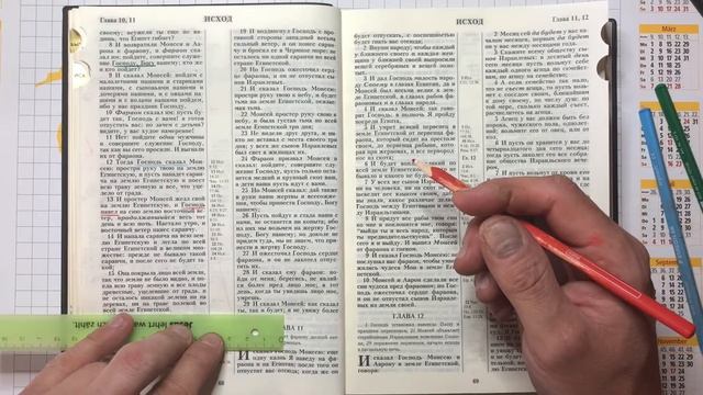 12. Исход 10 гл. Господь посылает 8 и 9 казни на Египет