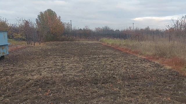 ДАЧНЫЕ ДЕЛА // САЖАЮ ЧЕСНОК И ЛУК В ЗИМУ // ДР В САДУ // УСПЕЛИ ДО СНЕГА ВСЁ❄️