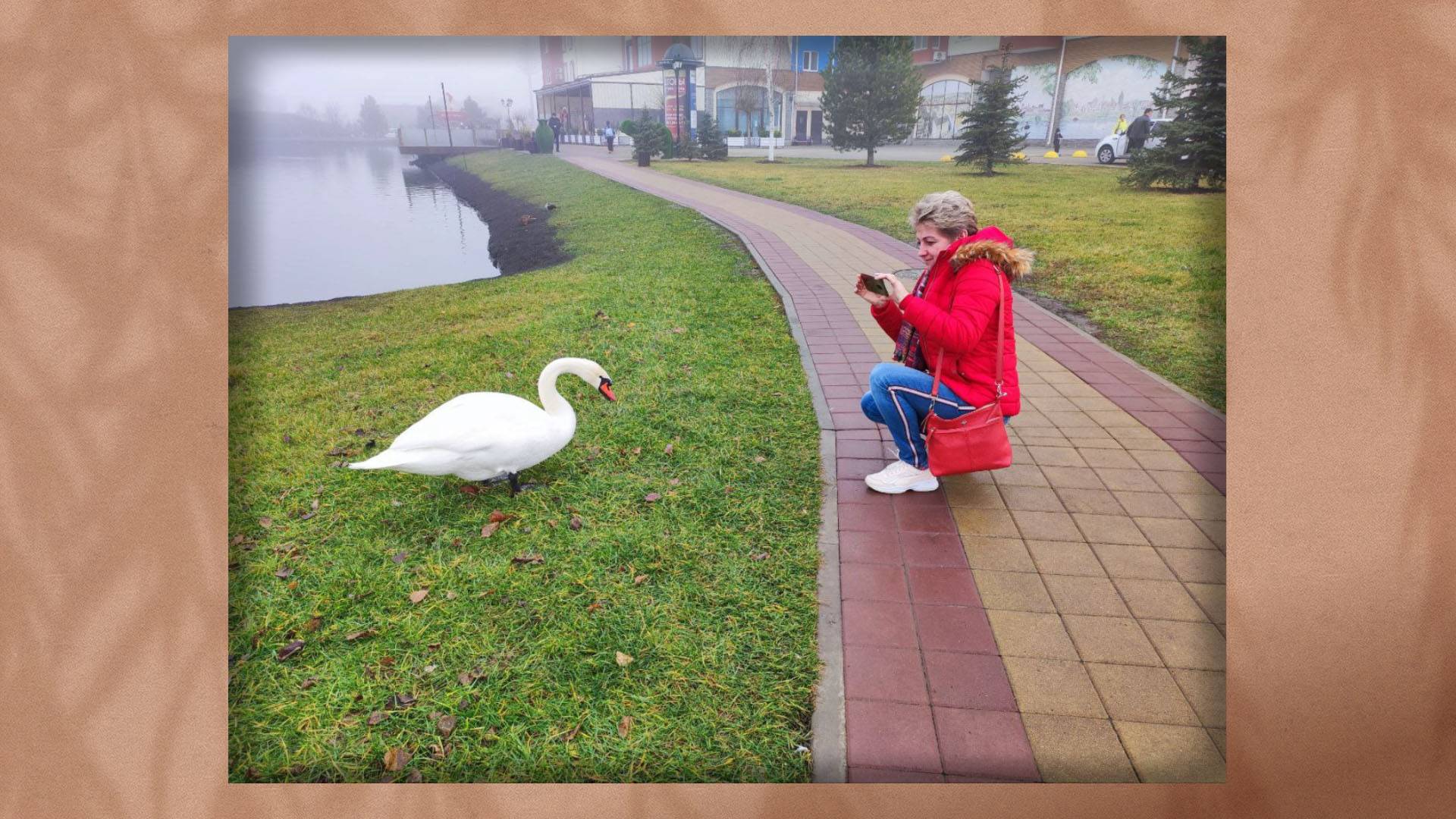 Поздравление с днем рожденья Александры Ероновой!