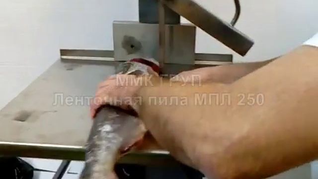 ГОЛОВОРУБ, ОТСЕКАТЕЛЬ ХВОСТА, ЛЕНТОЧНАЯ ПИЛА  ДЛЯ РЫБЫ.