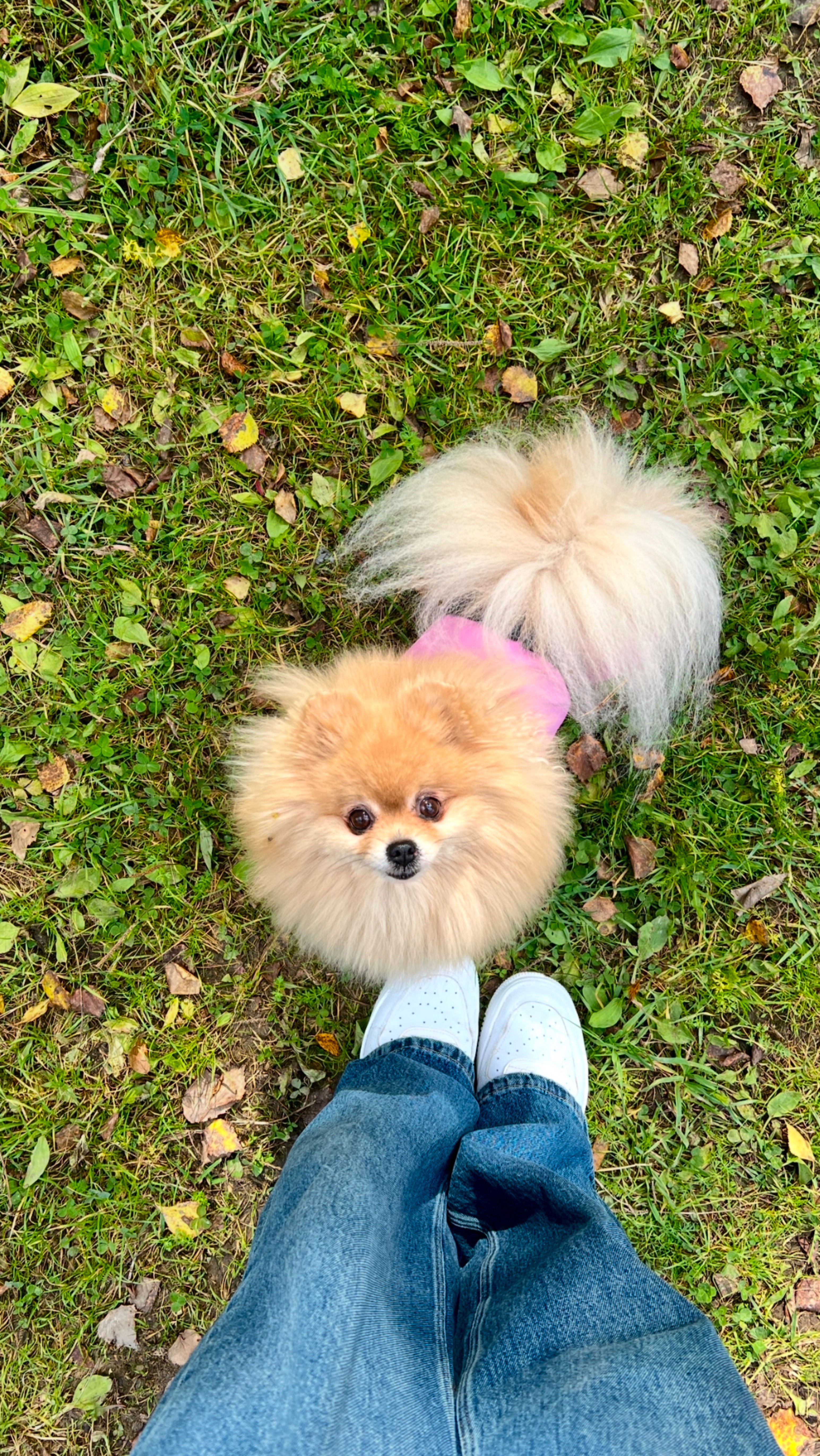 Басенька готова к грязесезону!