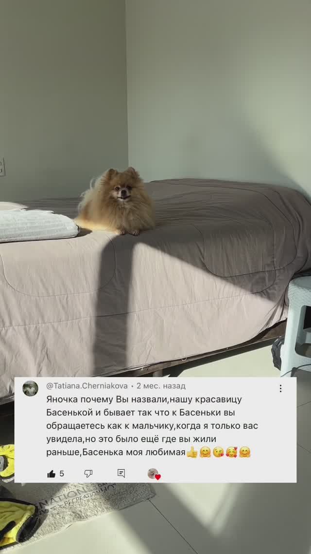 Почему Бася - Бася, Басилий, Басяня?