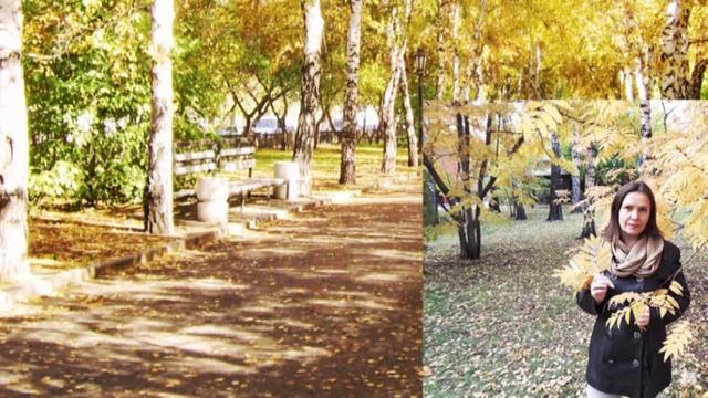 Осенний дождь