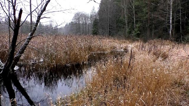 Зарисовки 4 Зима