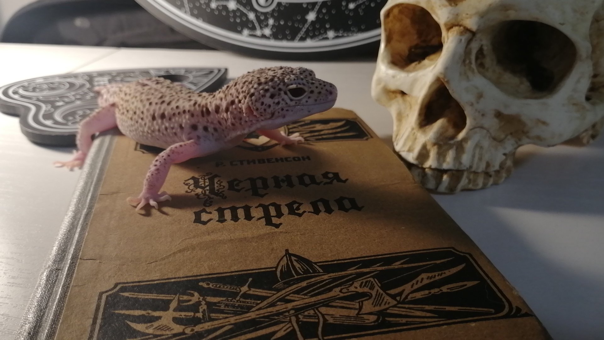 3."Черная стрела" Роберт Стивенсон. Книга первая, 1 глава "Под вывеской "Солнце" в Кеттли".