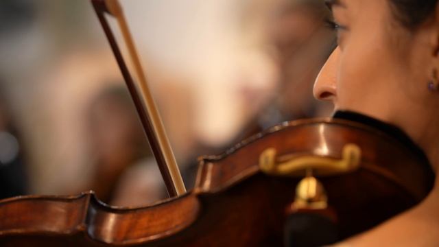 Концерт камерного оркестра Академия русской музыки