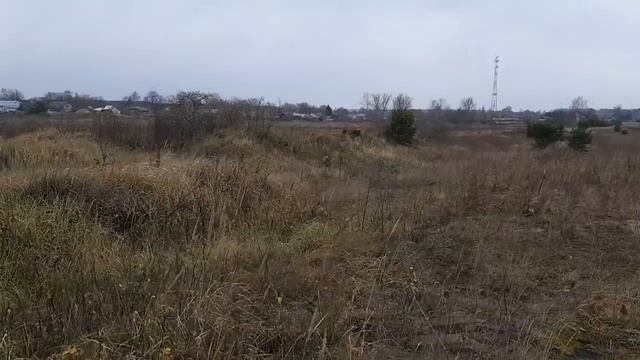 Заброшенный железнодорожный путь от станции АКРИ к бывшему песчаному карьеру!