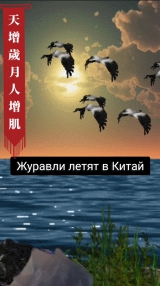 С. Михайлов. Журавли летят в Китай🇨🇳