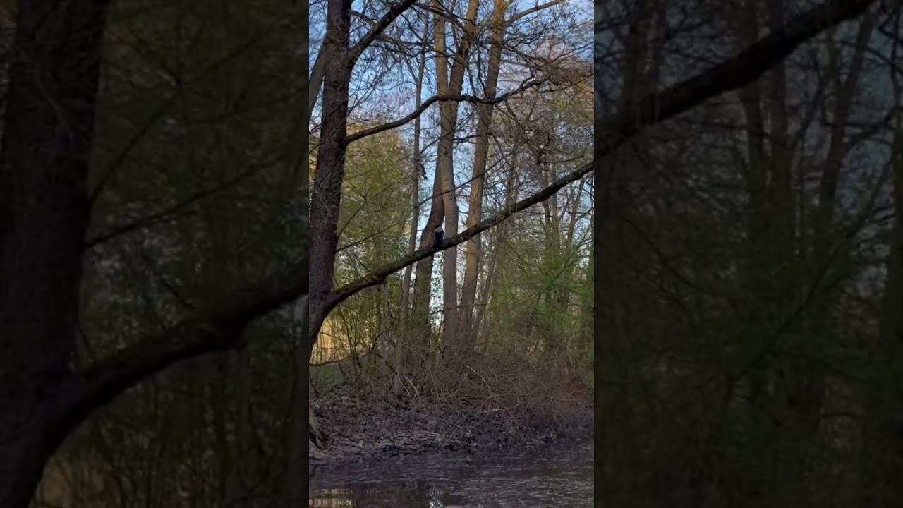 Подарила свой завет - это больше чем любовь. Я не знаю как я жил без всего, но жажду вновь…