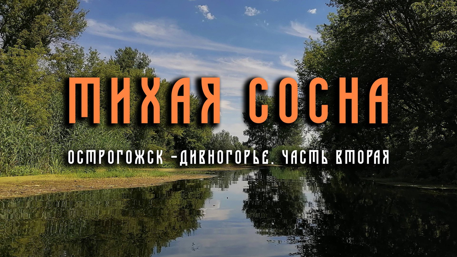 Тихая сосна. Из Острогожска в Дивногорье. 2022 год.